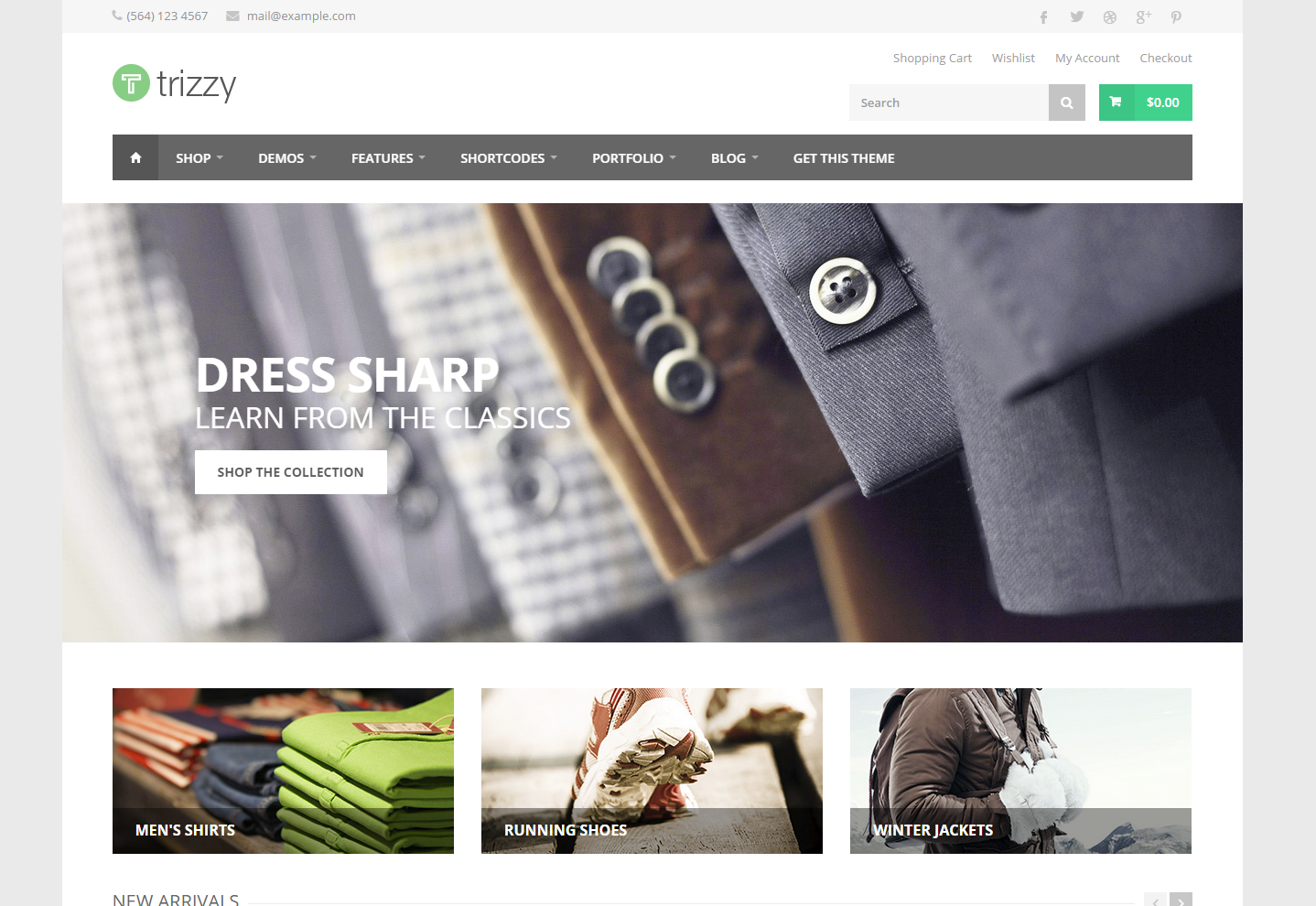 10 Amazing Themes for your WP based e-Store