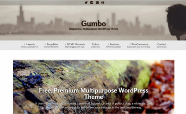 Top 15 Free and Responsive WordPress Themes